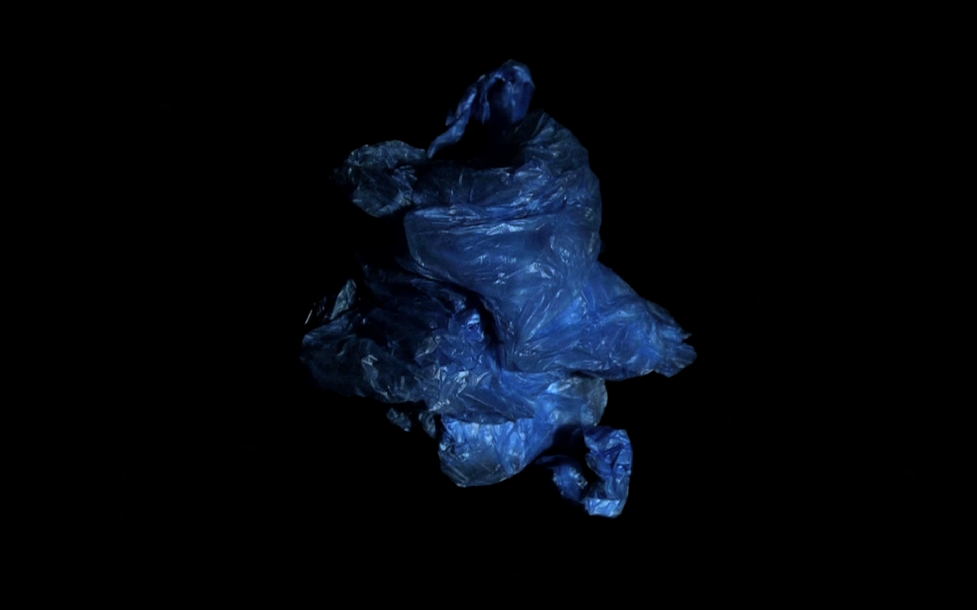 SARA BJARLAND — Blossom