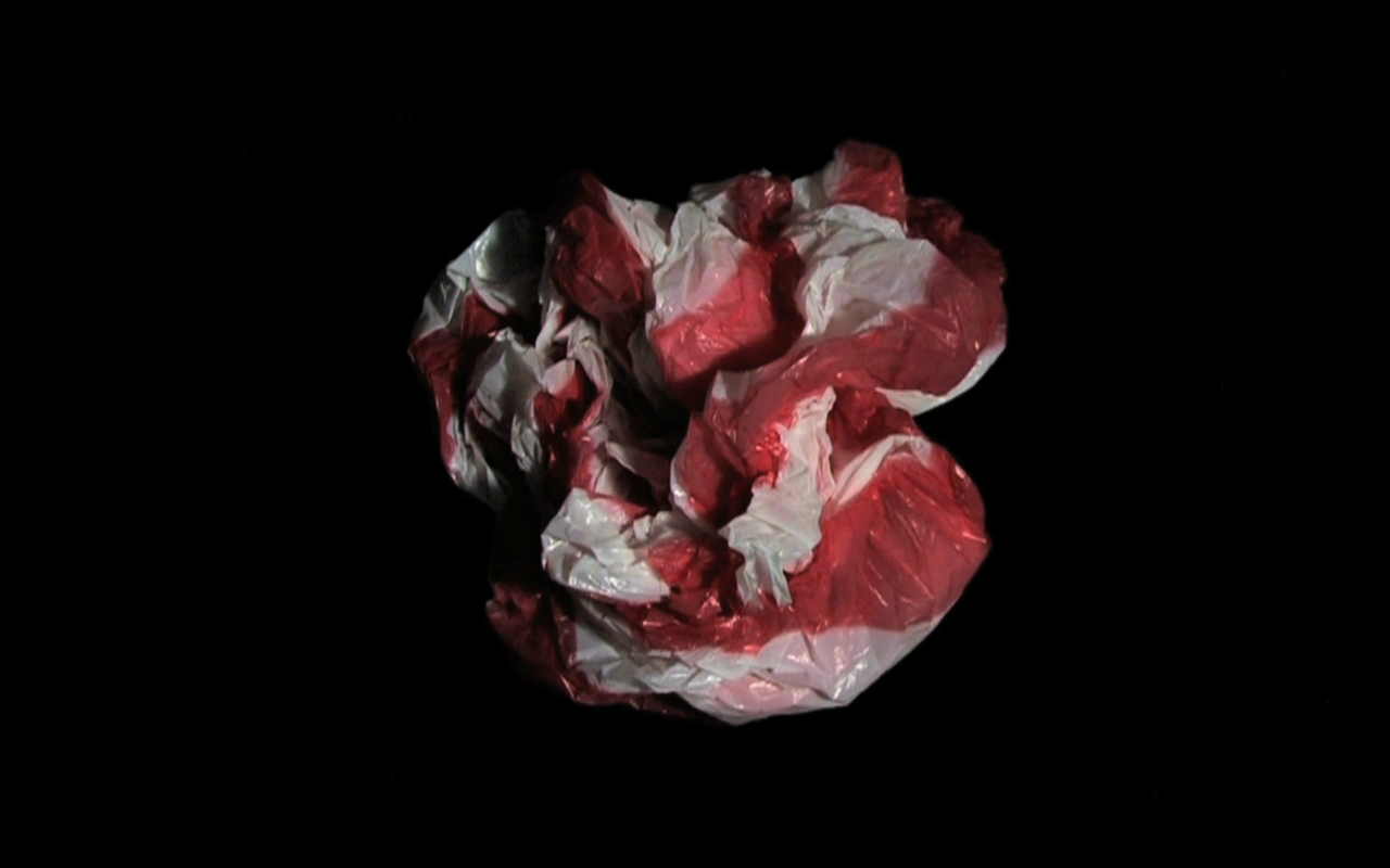 SARA BJARLAND — Blossom